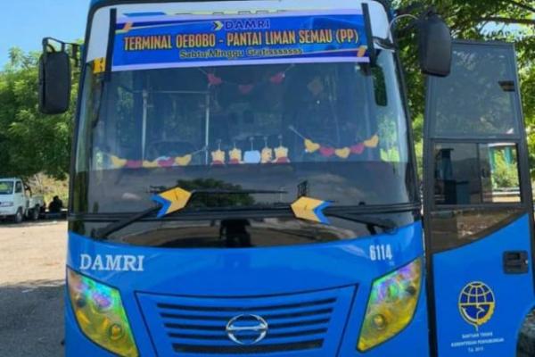 Hari Pertama Sepi Penumpang, Bus Gratis ke Pantai Liman Pulau Semau